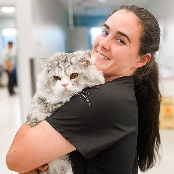 Wellness - Vet in New Orleans | River Road Veterinary Hospital