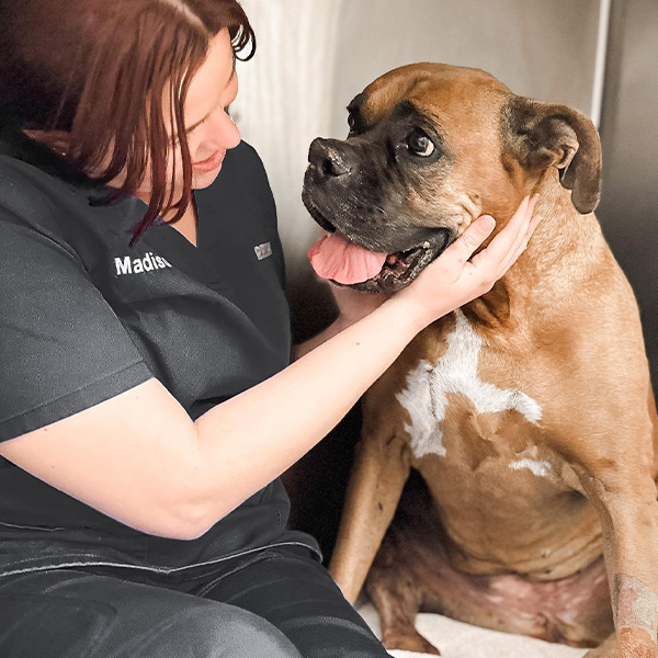 Wellness - Vet in New Orleans | River Road Veterinary Hospital