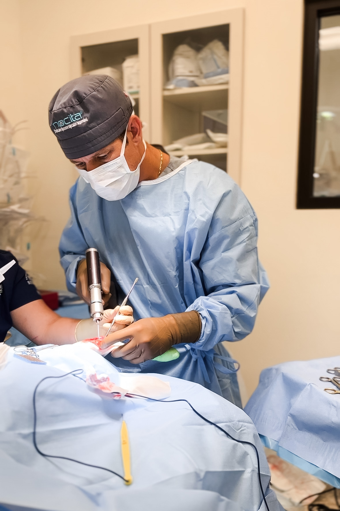 Advanced Veterinary Services - Vet in New Orleans | River Road Veterinary Hospital