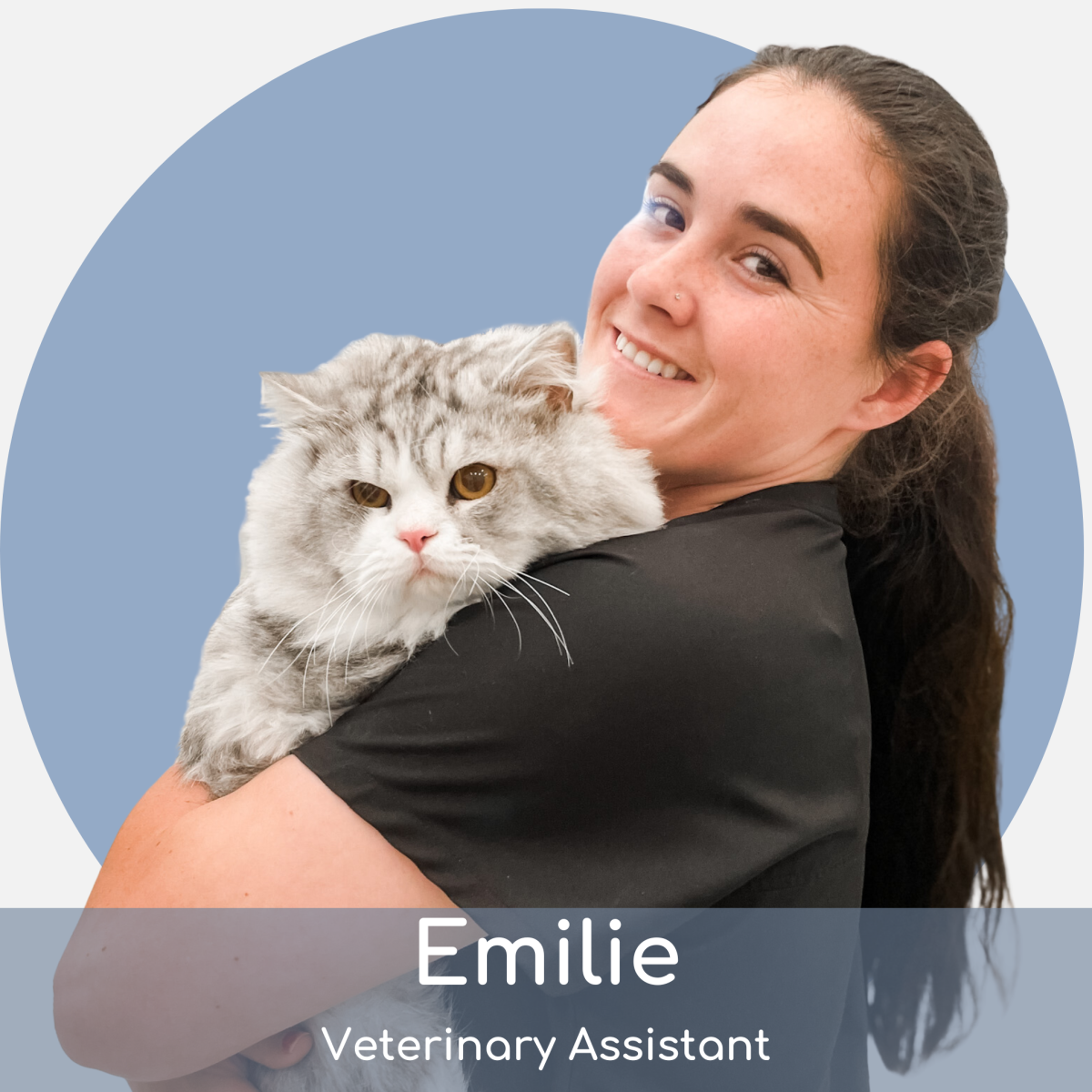Team - Vet in New Orleans | River Road Veterinary Hospital