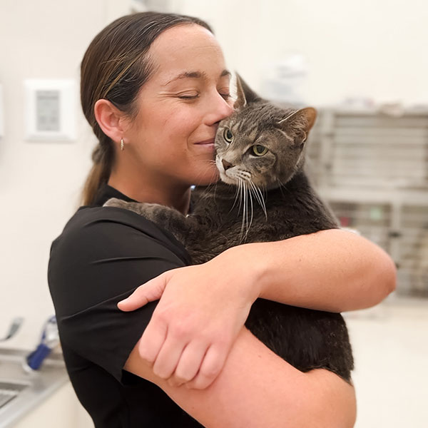 Home - Vet in New Orleans | River Road Veterinary Hospital