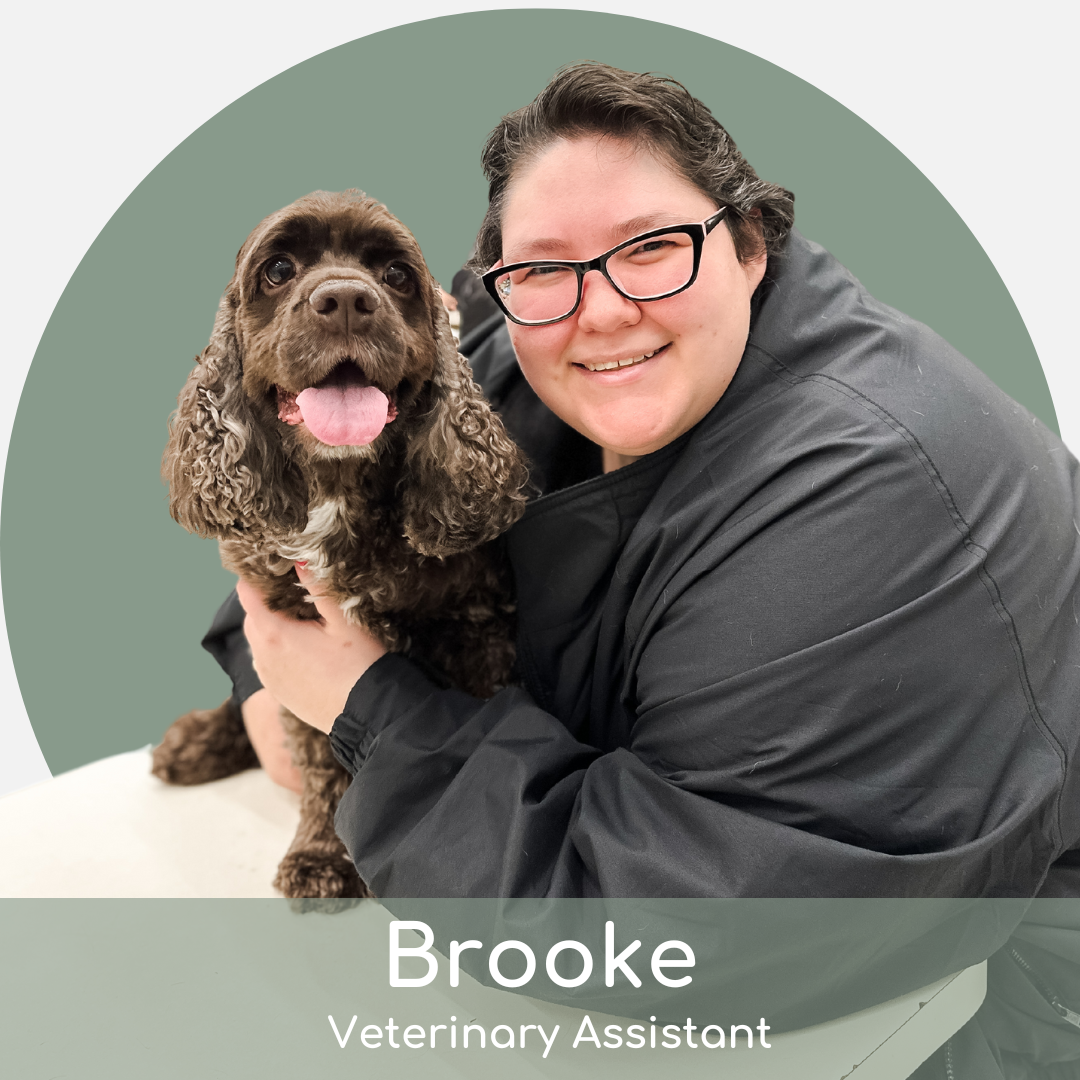 Team - Vet in New Orleans | River Road Veterinary Hospital