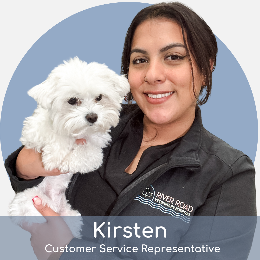 Team - Vet in New Orleans | River Road Veterinary Hospital